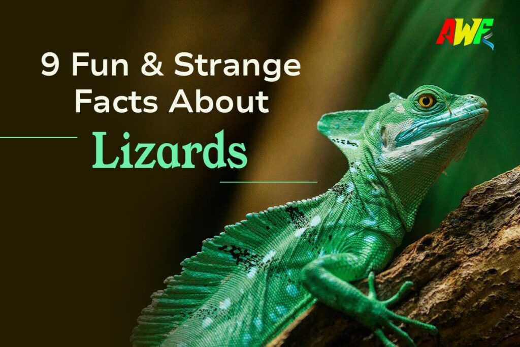 Facts About Lizards 🦎: Fascinating Insights & Fun Trivia